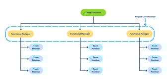 Project Organization Chart: The Complete Guide + Free Templates