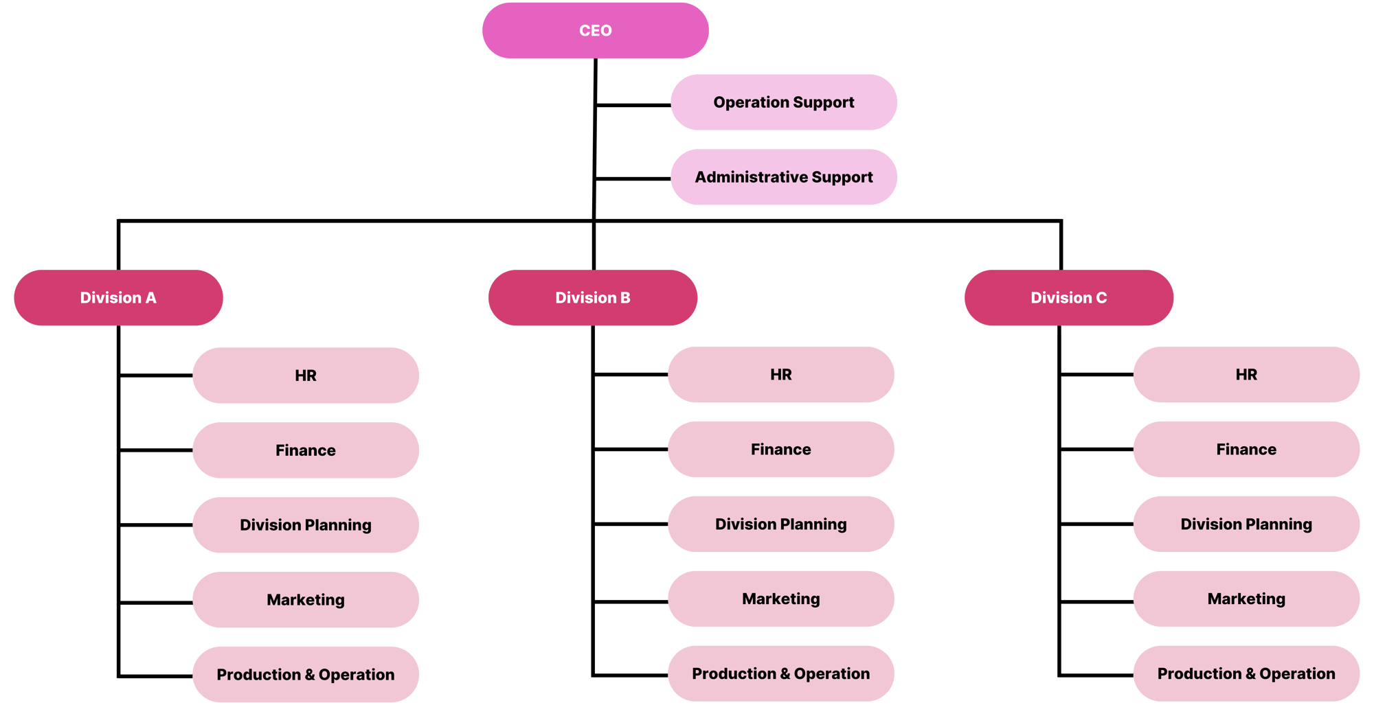 Divisional Organizational Structure