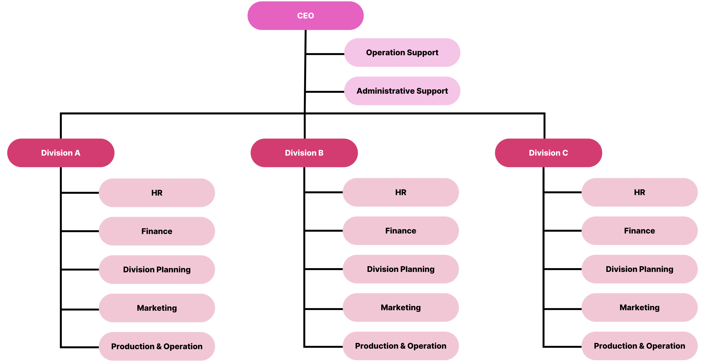 Divisional Organizational Structure