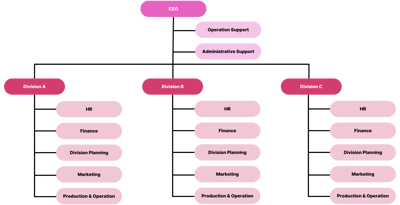 Divisional Organizational Structure