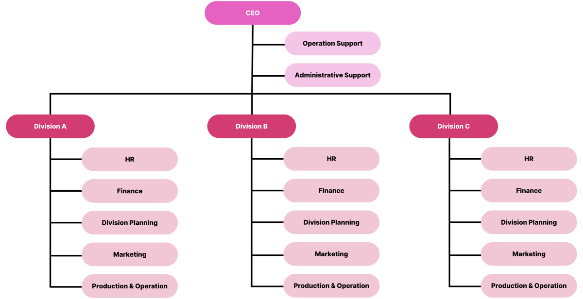 Divisional Organizational Structure