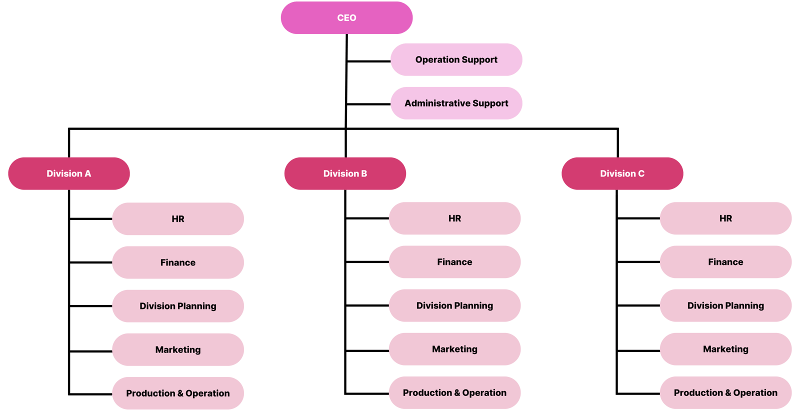 Divisional Organizational Structure