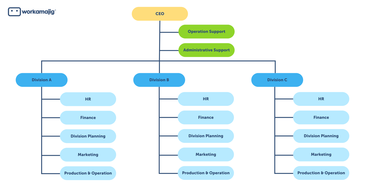 Divisional Organizational Structure