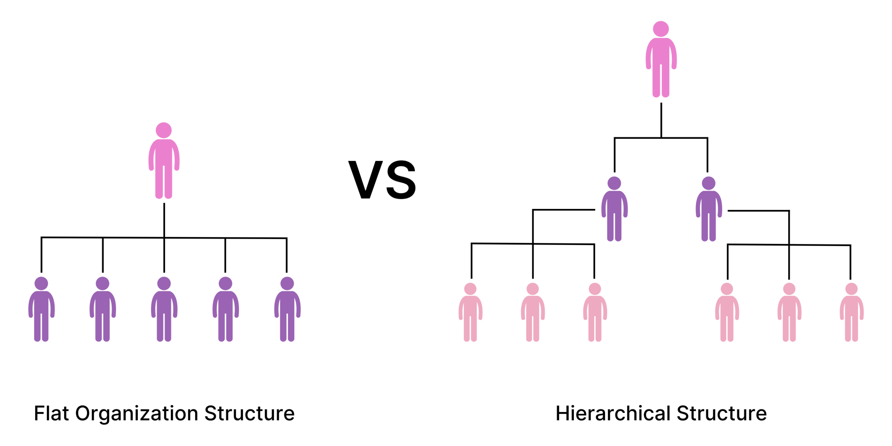 Project Organizational Structure: The Complete Guide