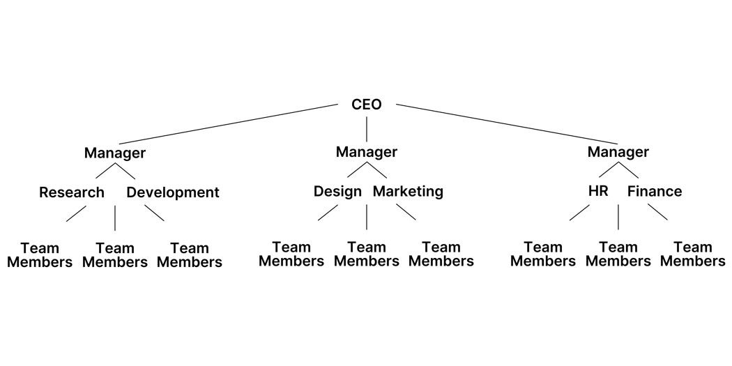 Functional Organizational Structure: Everything You Need to Know