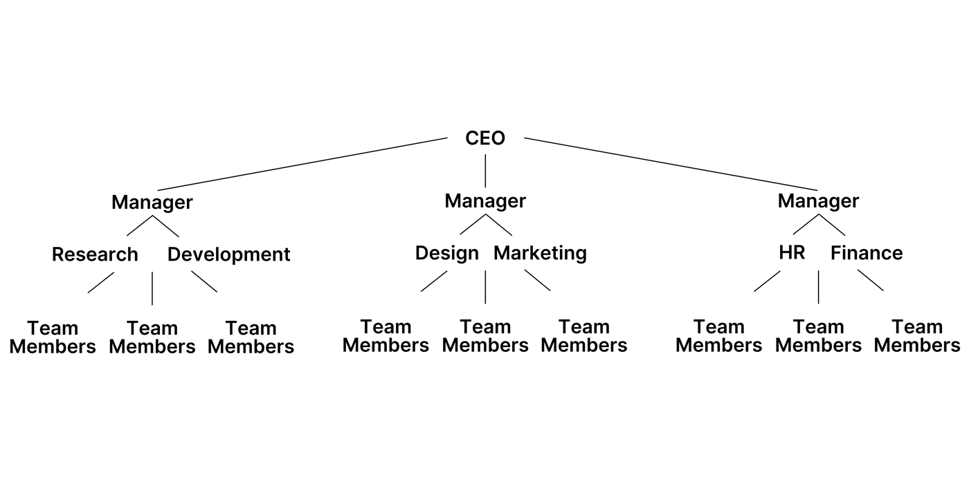 Functional Organizational Structure: Everything You Need to Know