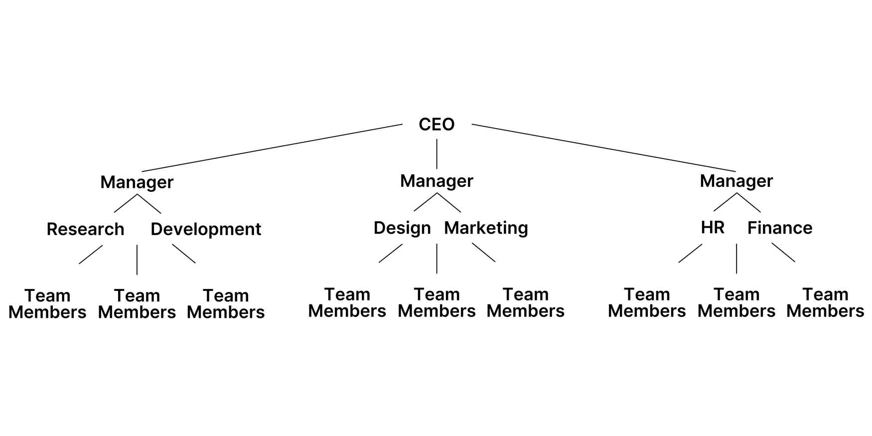 Functional Organizational Structure: Everything You Need to Know