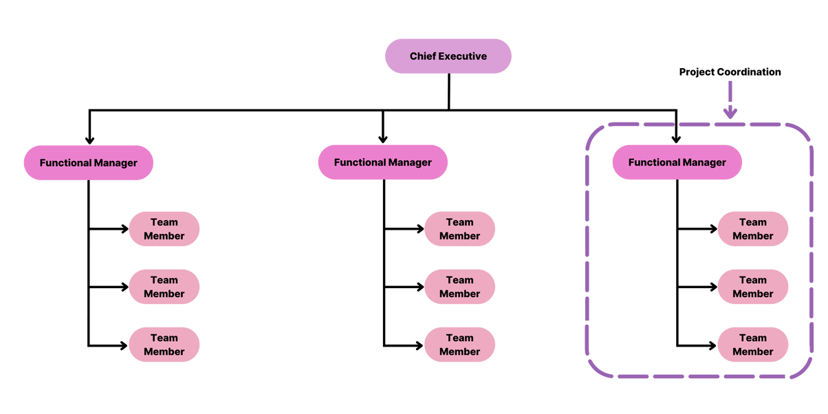 Project Organizational Structure: The Complete Guide