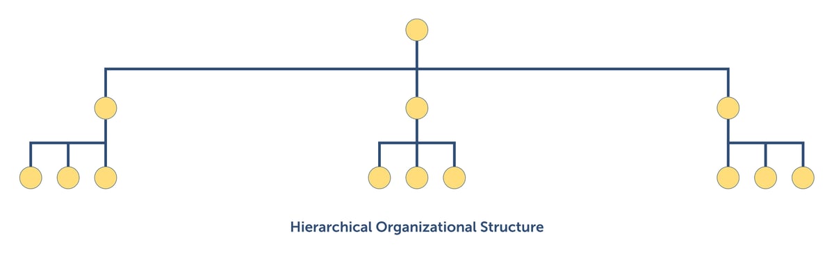 Project Organizational Structure: The Complete Guide
