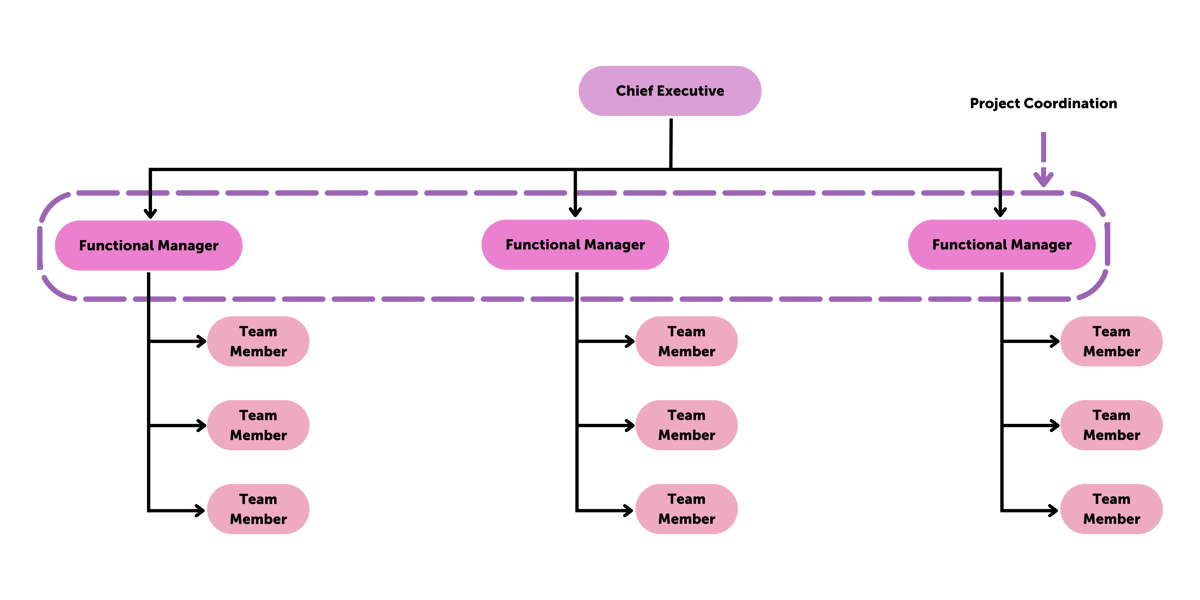 Project Organization Chart: The Complete Guide + Free Templates