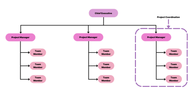 Project Organizational Structure: The Complete Guide
