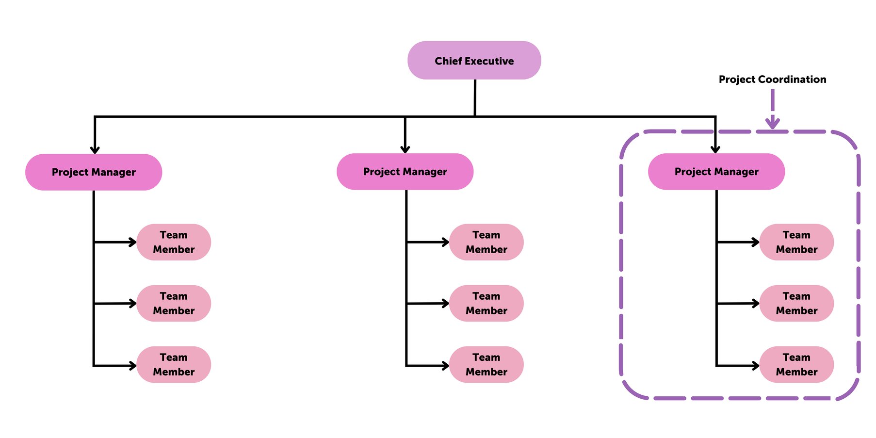 Project Organizational Structure: The Complete Guide