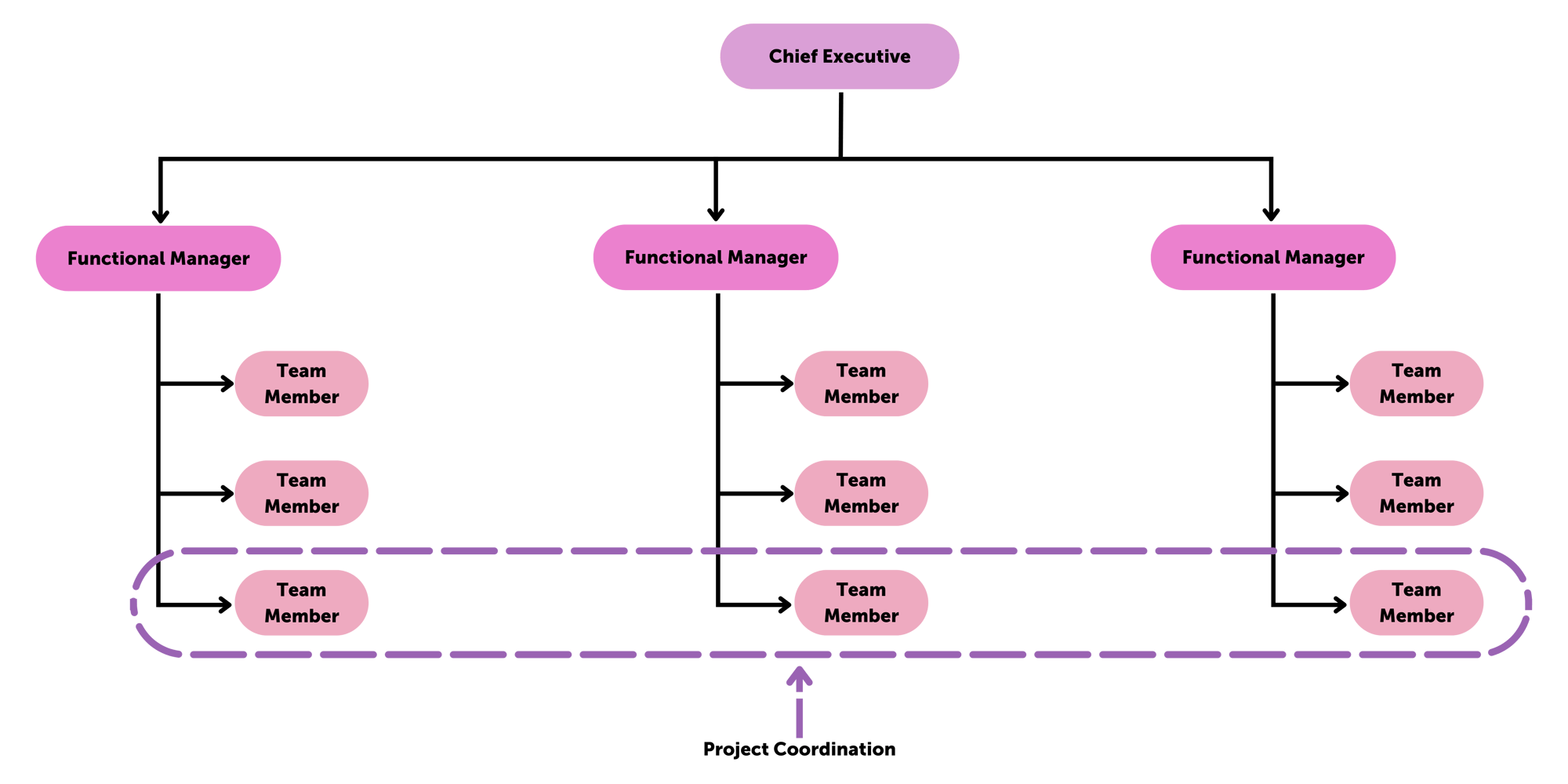 Project Organization Chart: The Complete Guide + Free Templates