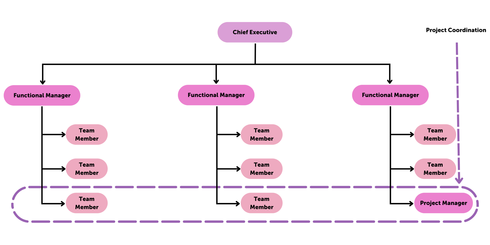 Project Organization Chart: The Complete Guide + Free Templates