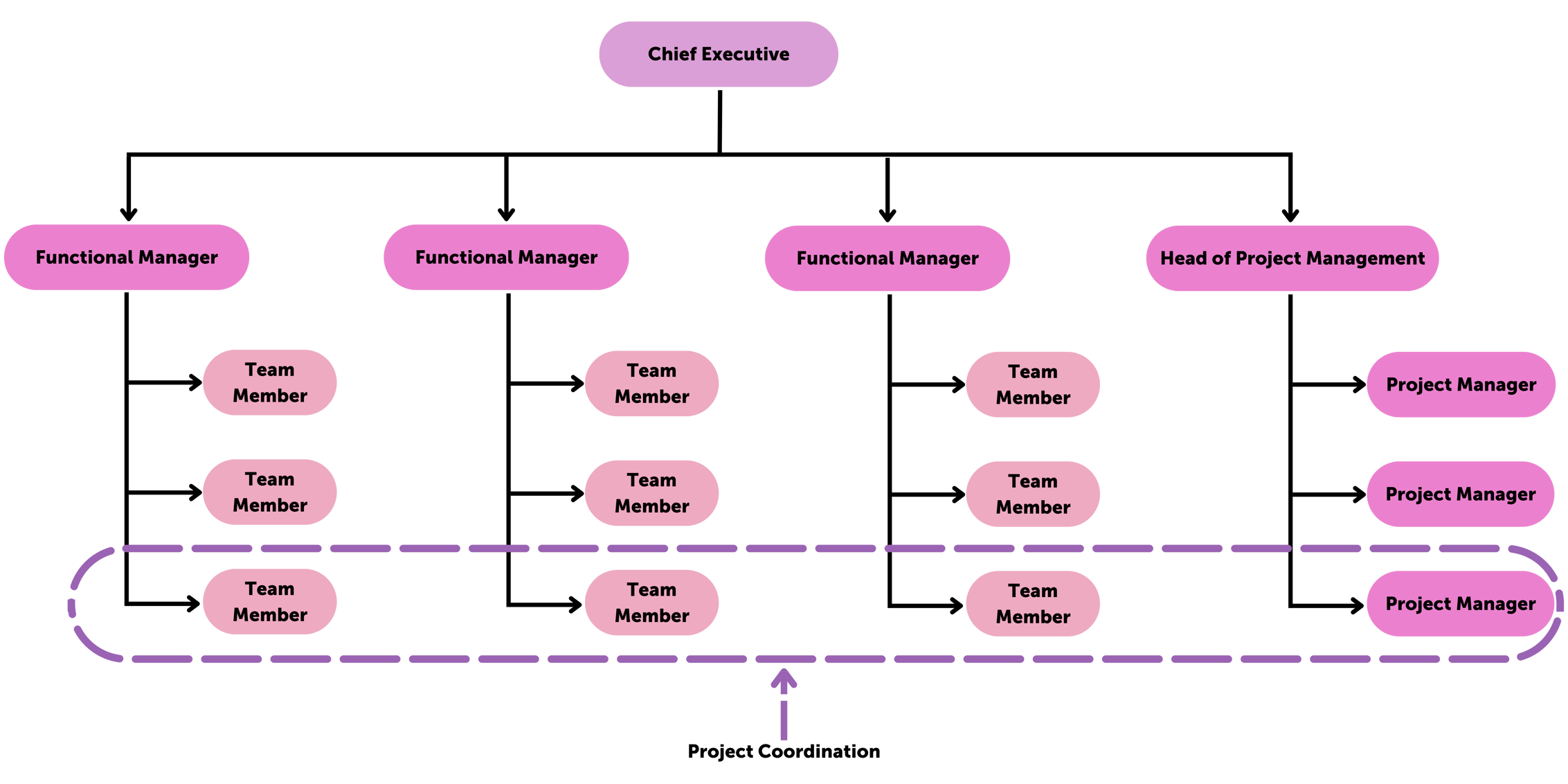 Project Organization Chart: The Complete Guide + Free Templates