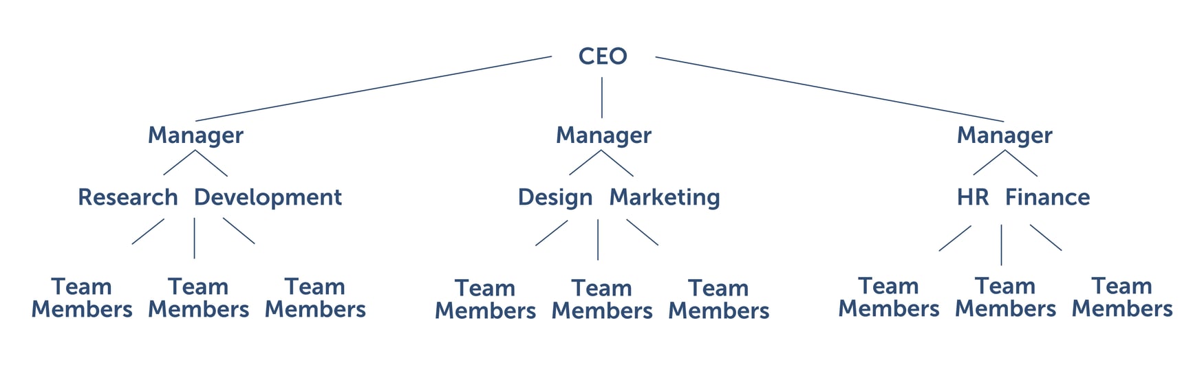 Functional Organizational Structure: Everything You Need to Know