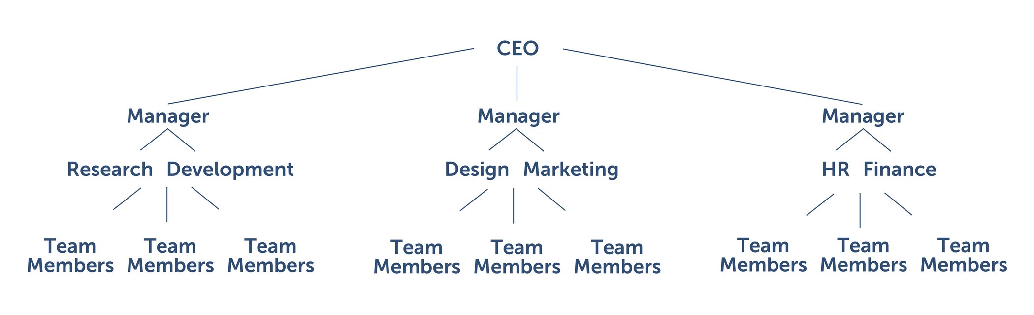 Functional Organizational Structure: Everything You Need to Know
