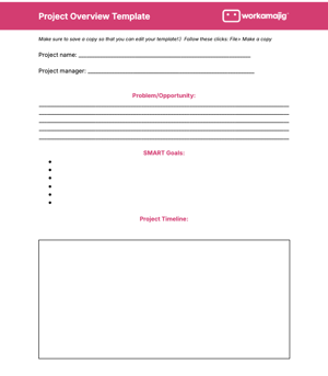 What is a Project Overview? [Free Template Inside]