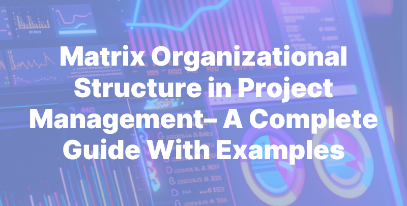 Matrix Organizational Structure in Project Management– A Complete Guide ...